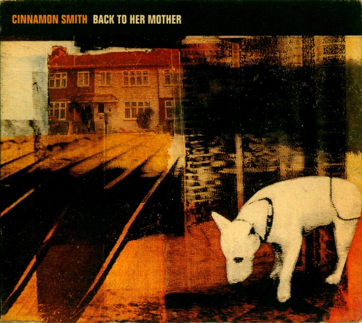 Cinnamon Smith Albums: songs, discography, biography, and listening ...