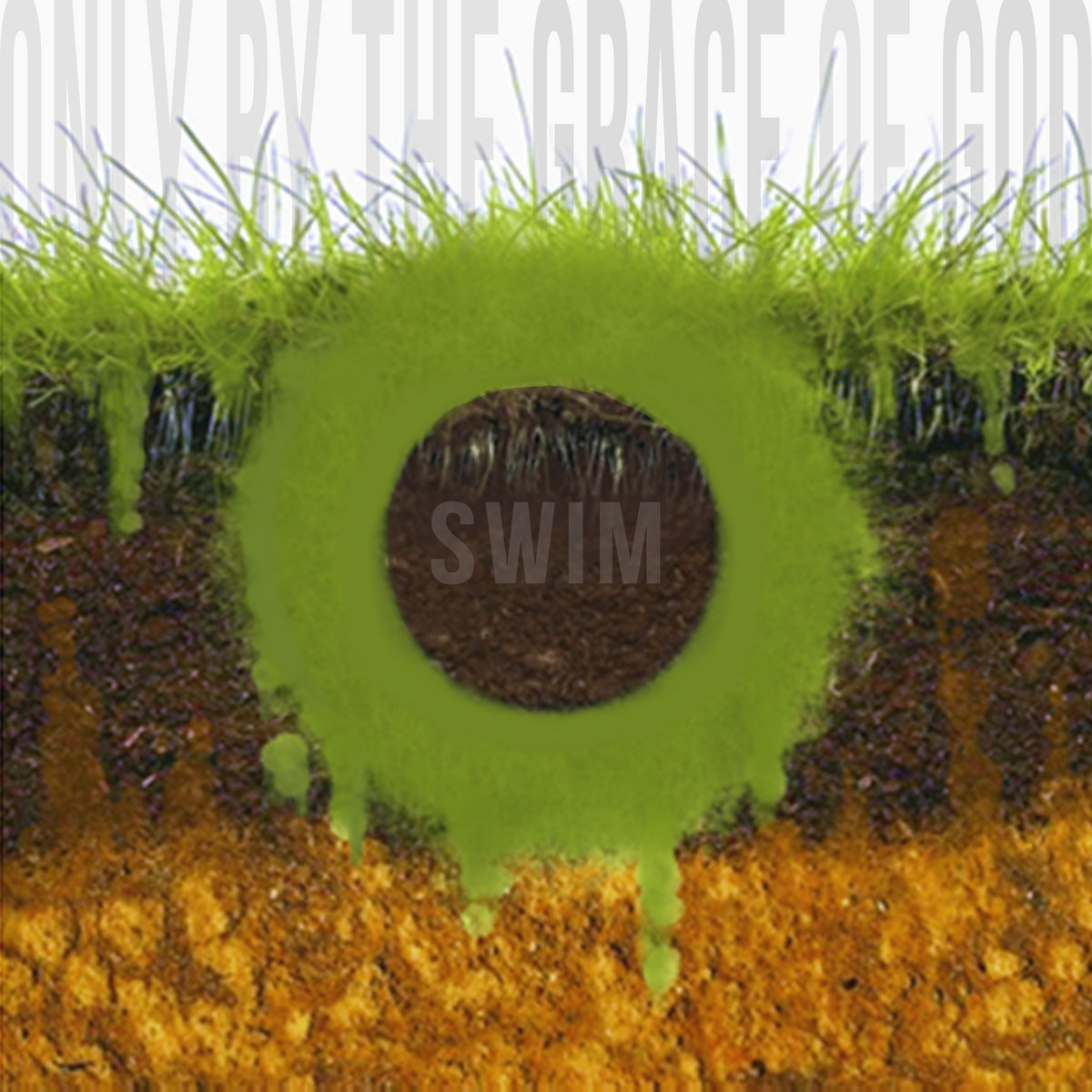 Swim Albums: songs, discography, biography, and listening guide - Rate ...