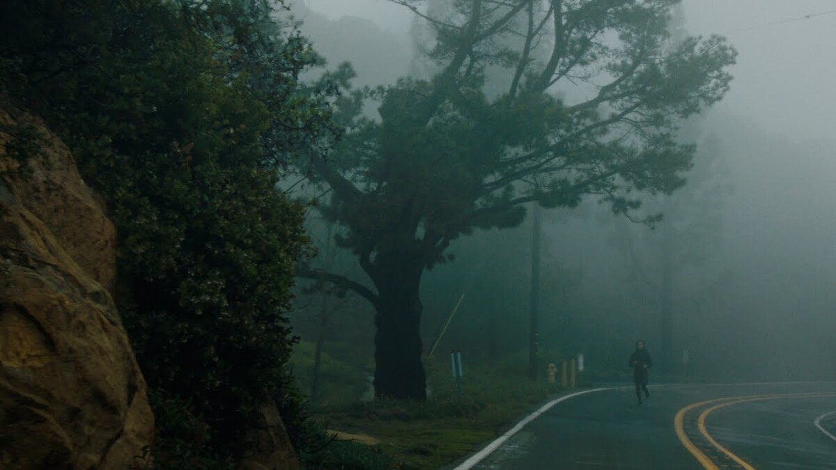 14 minutes by Dominic Fike (Video): Reviews, Ratings, Credits, Song ...