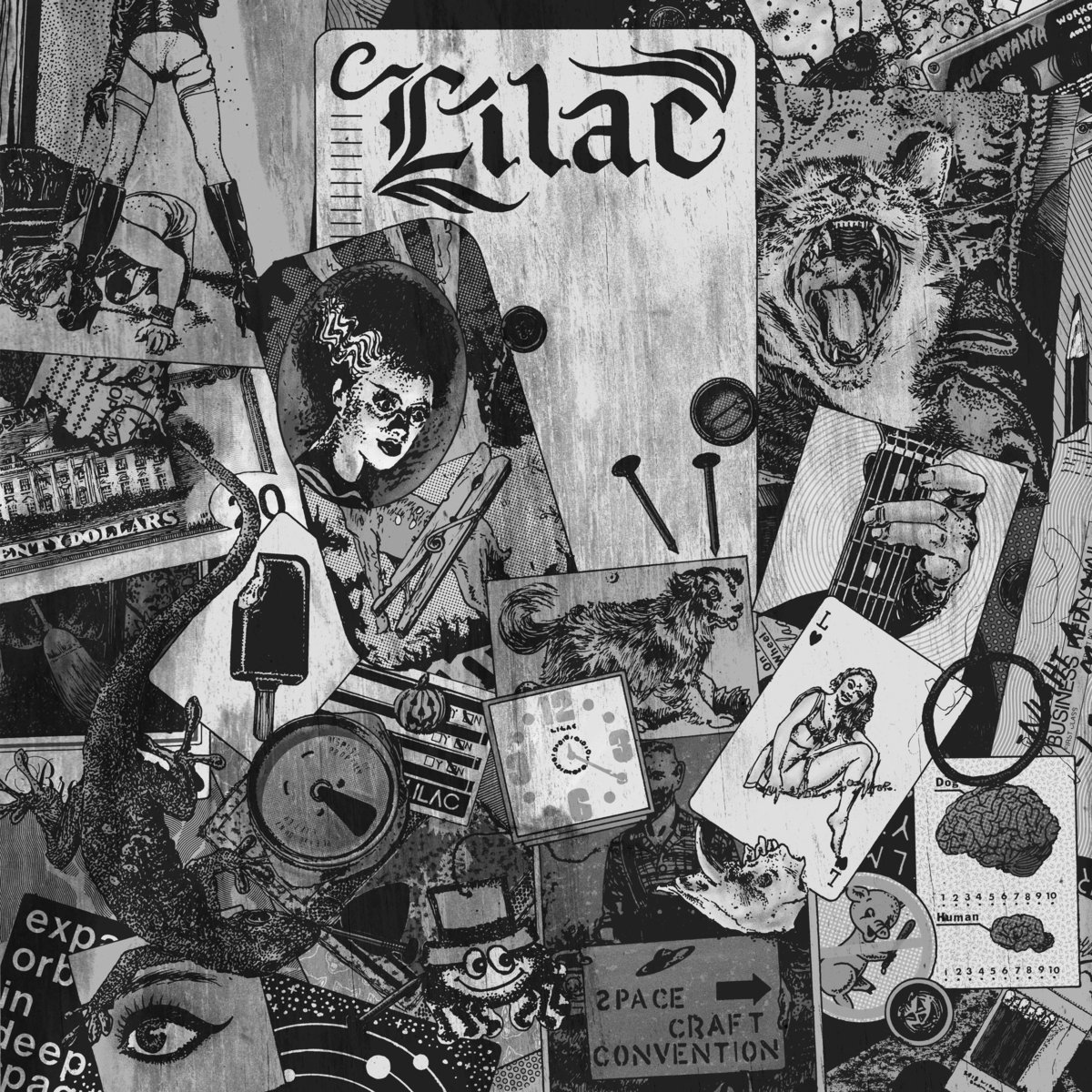 Lilac Albums: songs, discography, biography, and listening guide - Rate ...