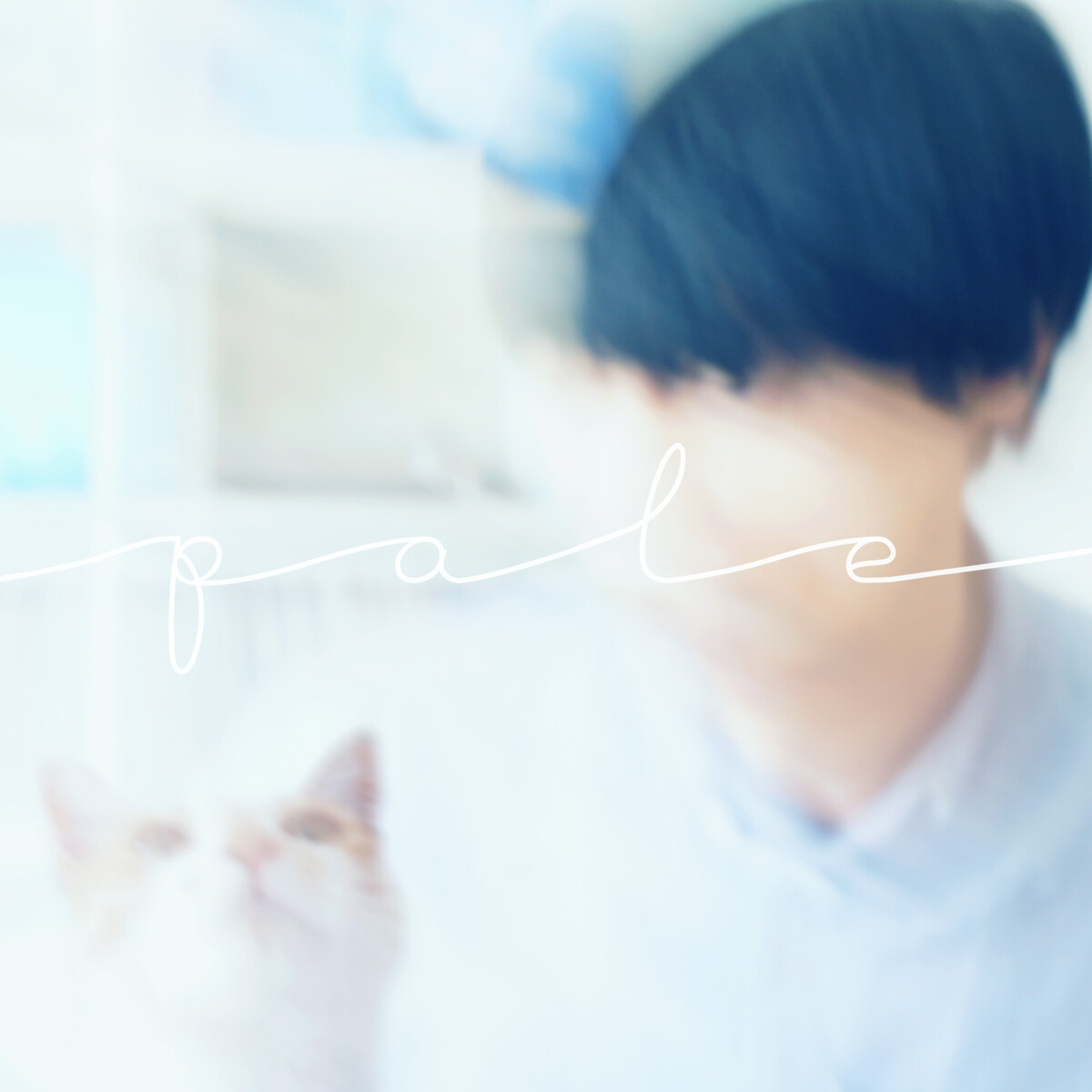 Pale / みずいろの時代 by 山田稔明 [Toshiaki Yamada] (Album): Reviews, Ratings ...