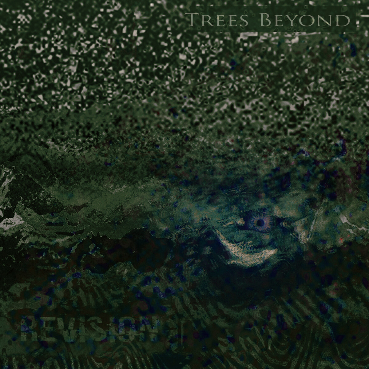 Revision by Trees Beyond (Album): Reviews, Ratings, Credits, Song list ...
