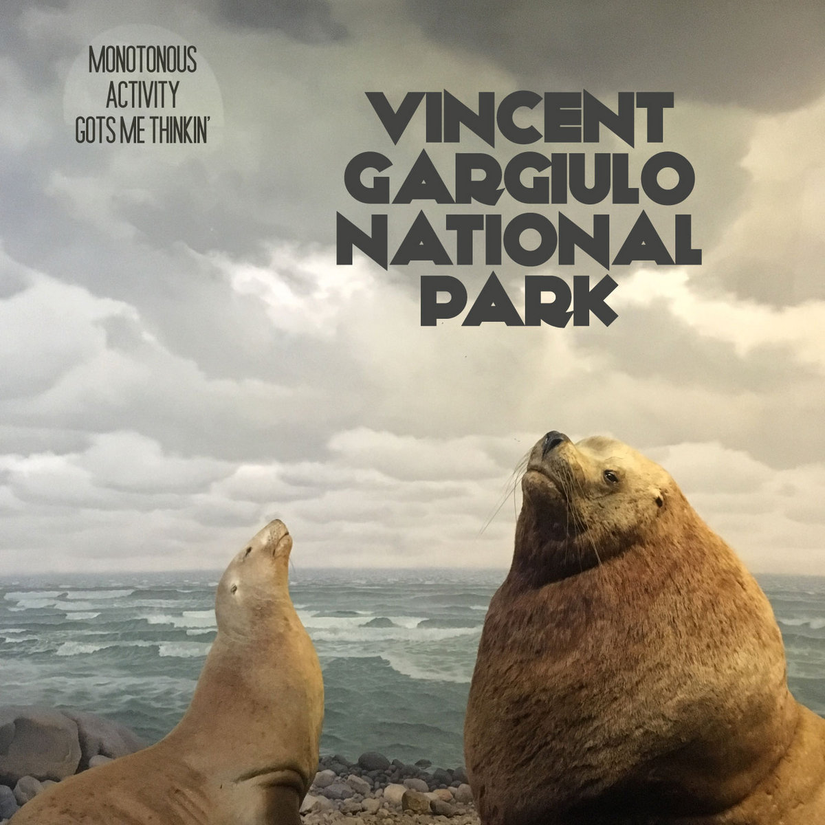 Monotonous Activity Gots Me Thinkin' by Vincent Gargiulo National Park ...