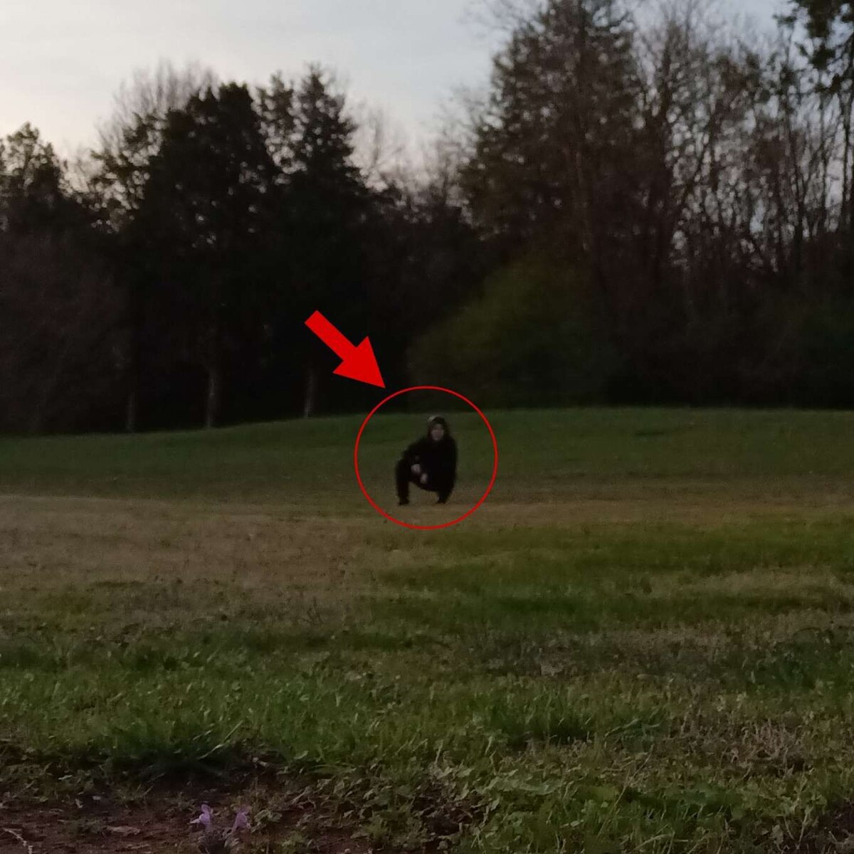 mop by jsmoke (Single, Experimental Hip Hop): Reviews, Ratings, Credits ...