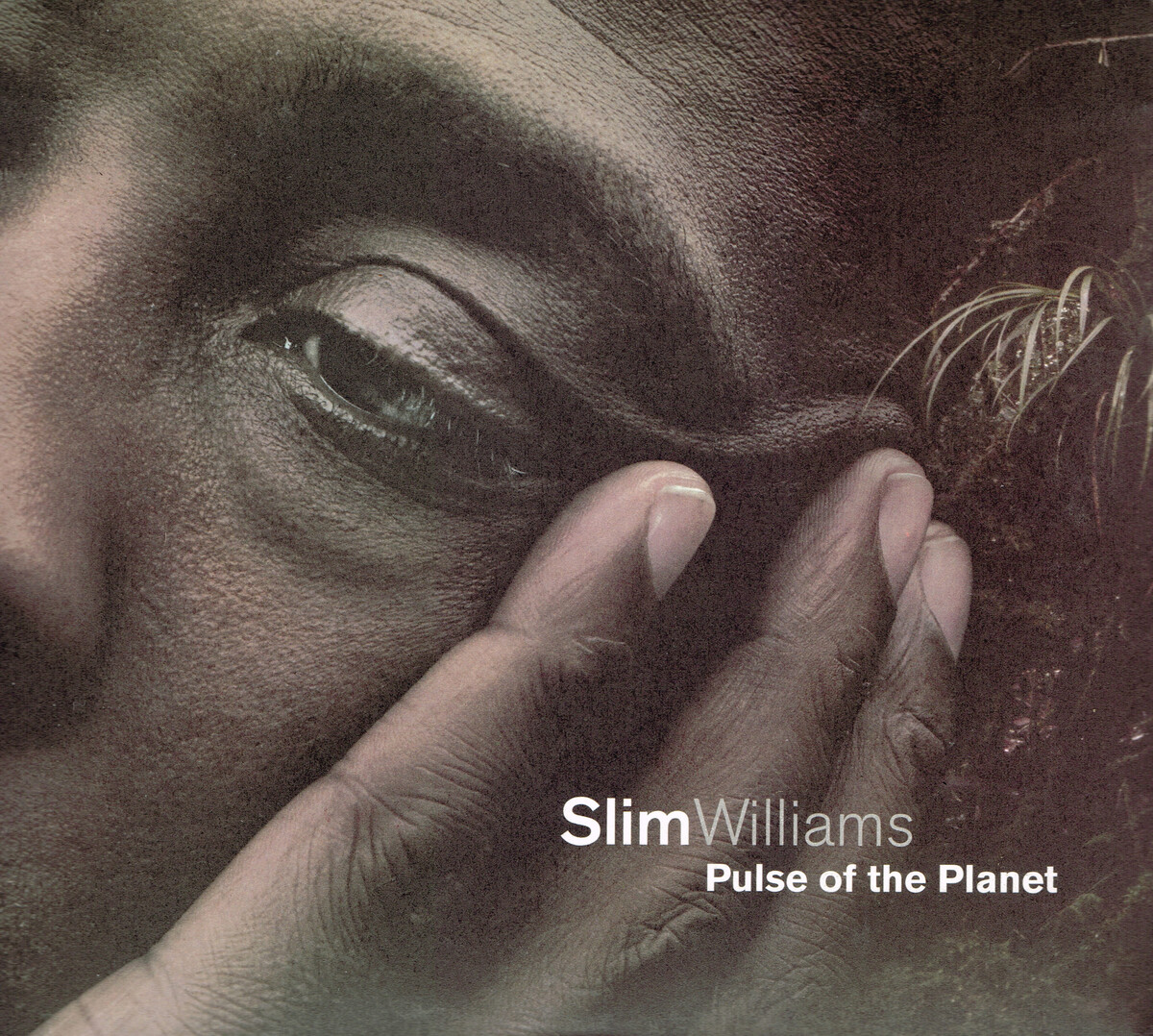 Slim Williams Albums: songs, discography, biography, and listening ...