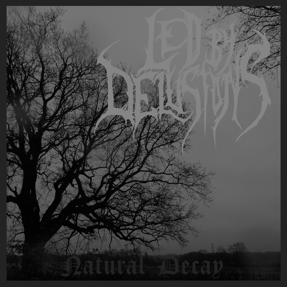 Natural Decay by Led by Delusions (Album, Depressive Black Metal ...
