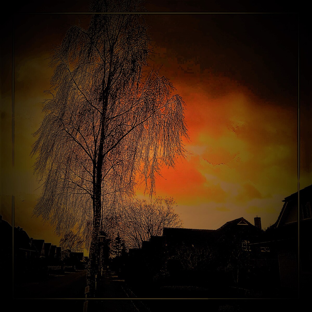 A Storm Is Coming by Black Tribe (Single): Reviews, Ratings, Credits ...