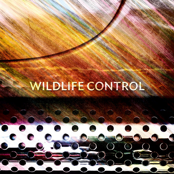 Wildlife Control by Wildlife Control (Album, Indie Pop): Reviews ...