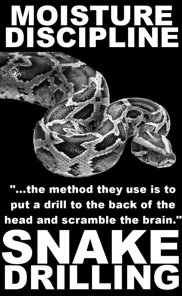 Snake Drilling by Moisture Discipline (Album, Harsh Noise): Reviews ...