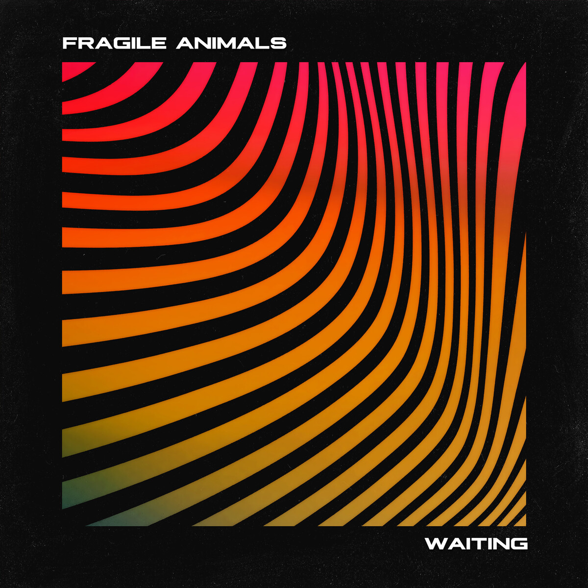 Waiting by Fragile Animals (Single, Shoegaze): Reviews, Ratings ...
