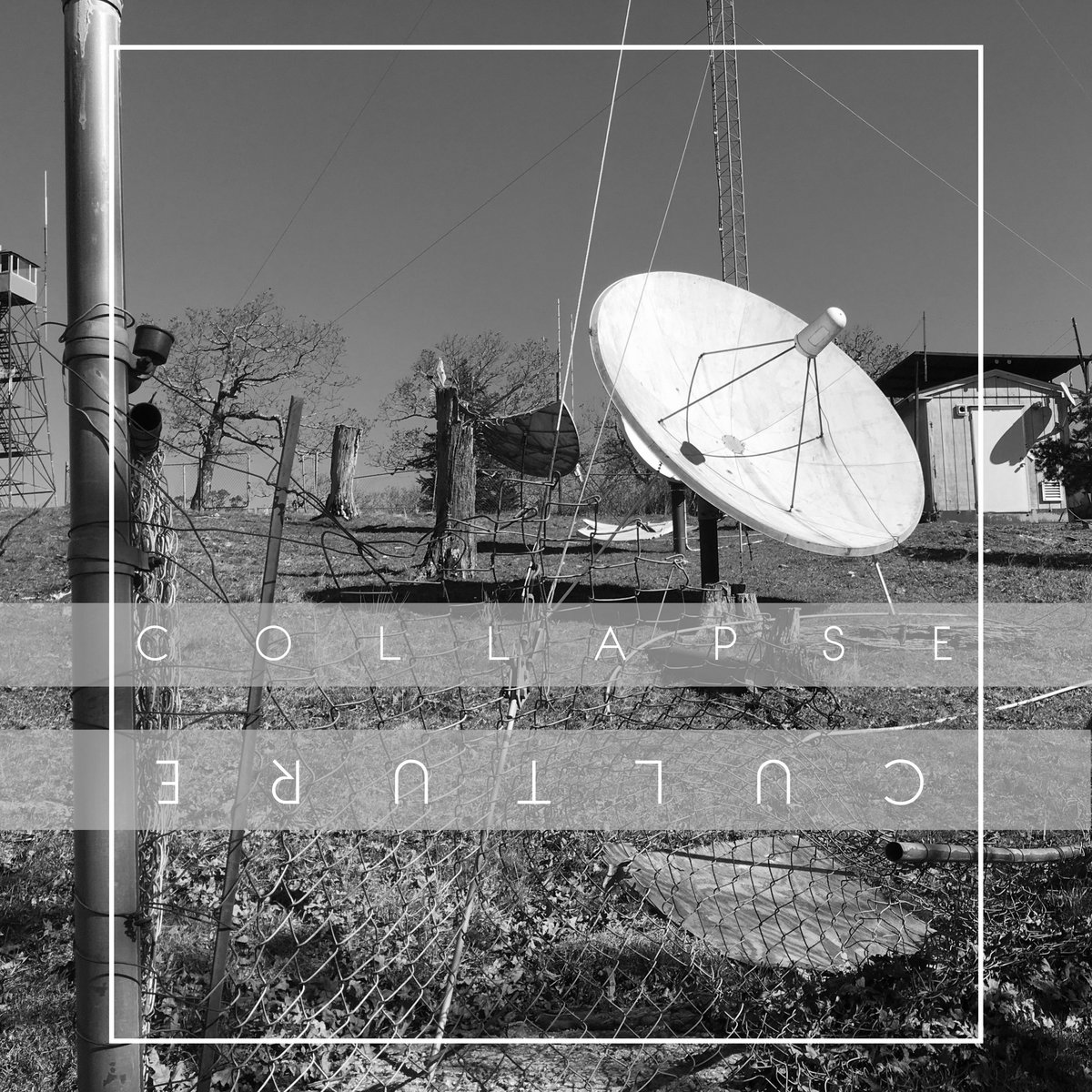 Collapse Culture by Collapse Culture (Album): Reviews, Ratings, Credits ...