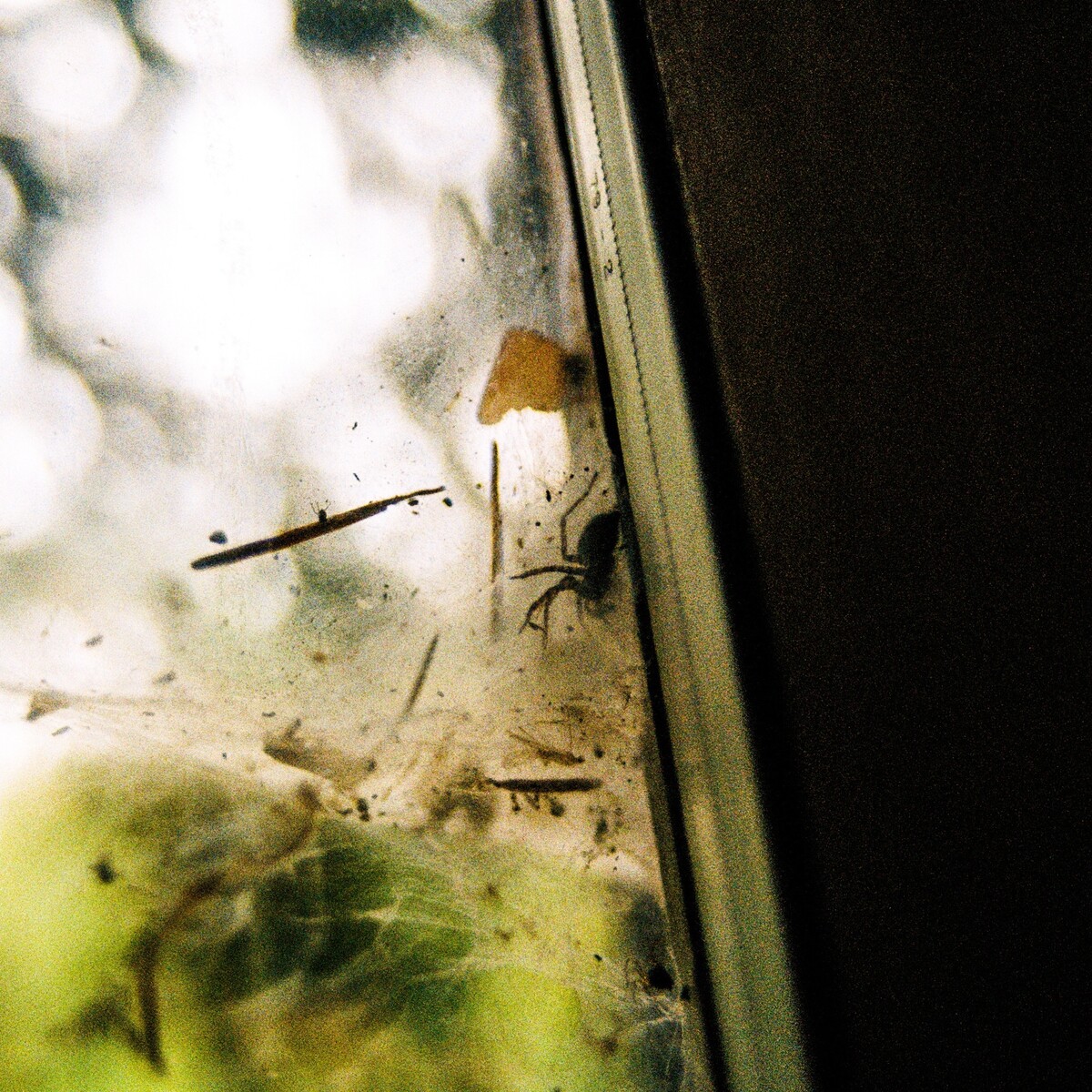 exociety Albums: songs, discography, biography, and listening guide ...