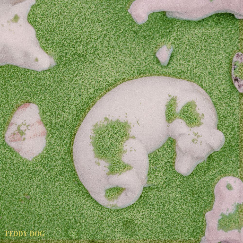 Teddy Dog by 김우주 [Kim Woo-joo] (Single): Reviews, Ratings, Credits ...