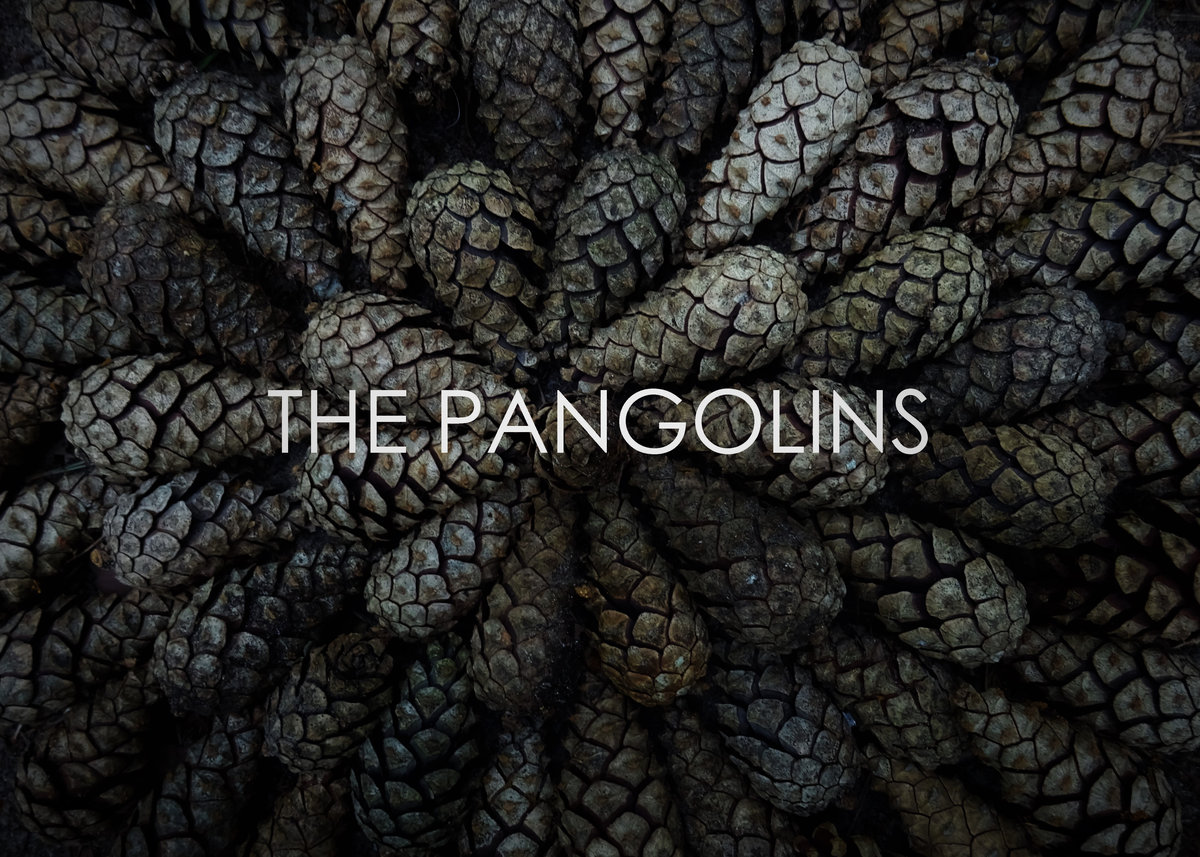 The Pangolins Albums: songs, discography, biography, and listening ...