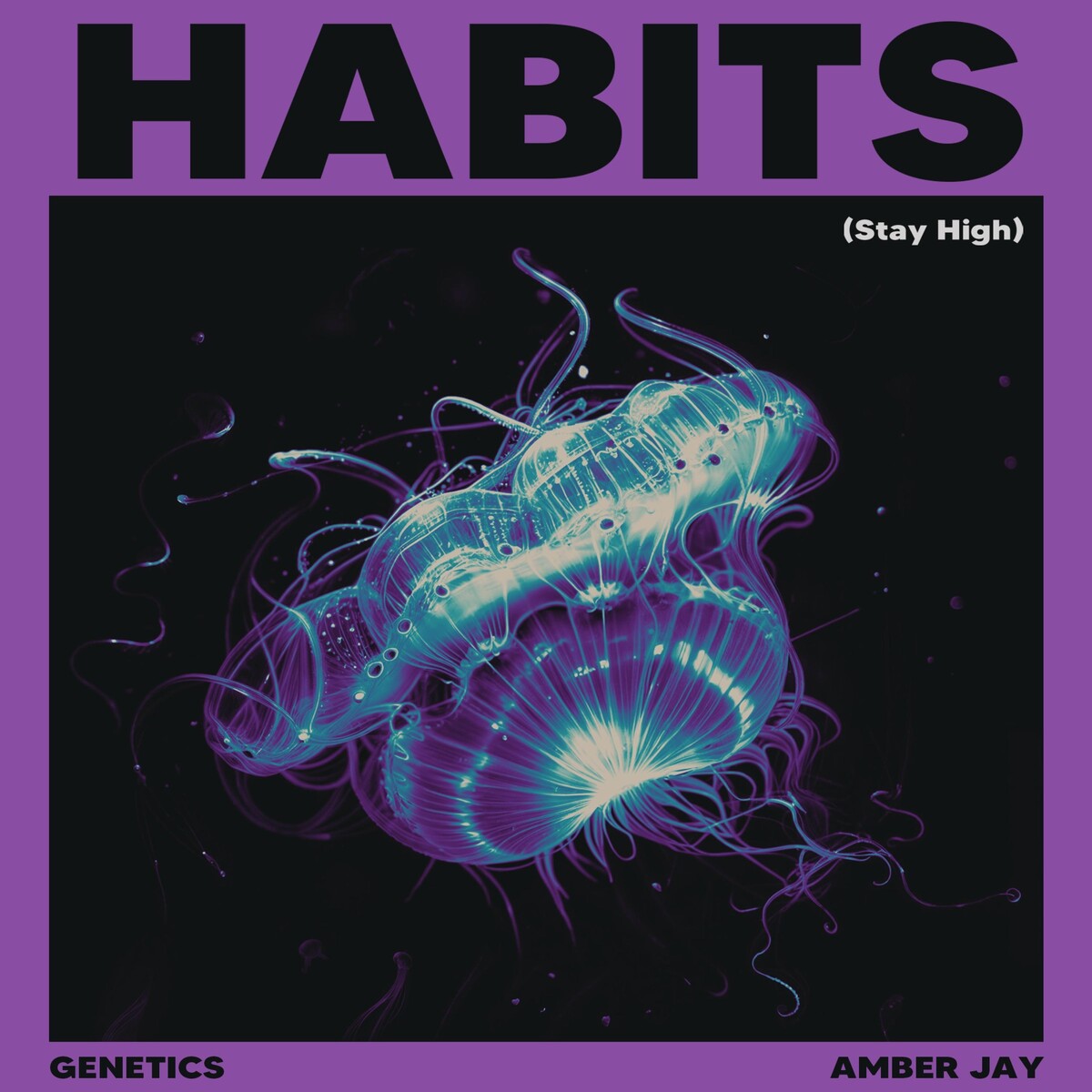 Habits (Stay High) by Genetics & Amber Jay (Single): Reviews, Ratings ...