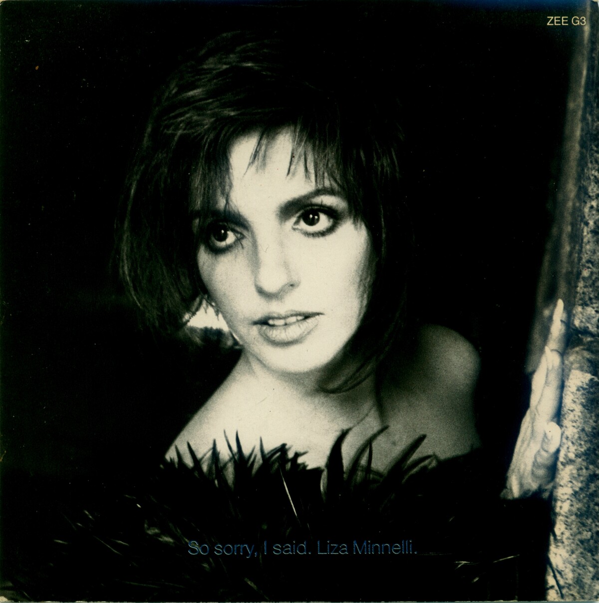 So Sorry, I Said / I Can't Say Goodnight by Liza Minnelli (Single; Epic ...