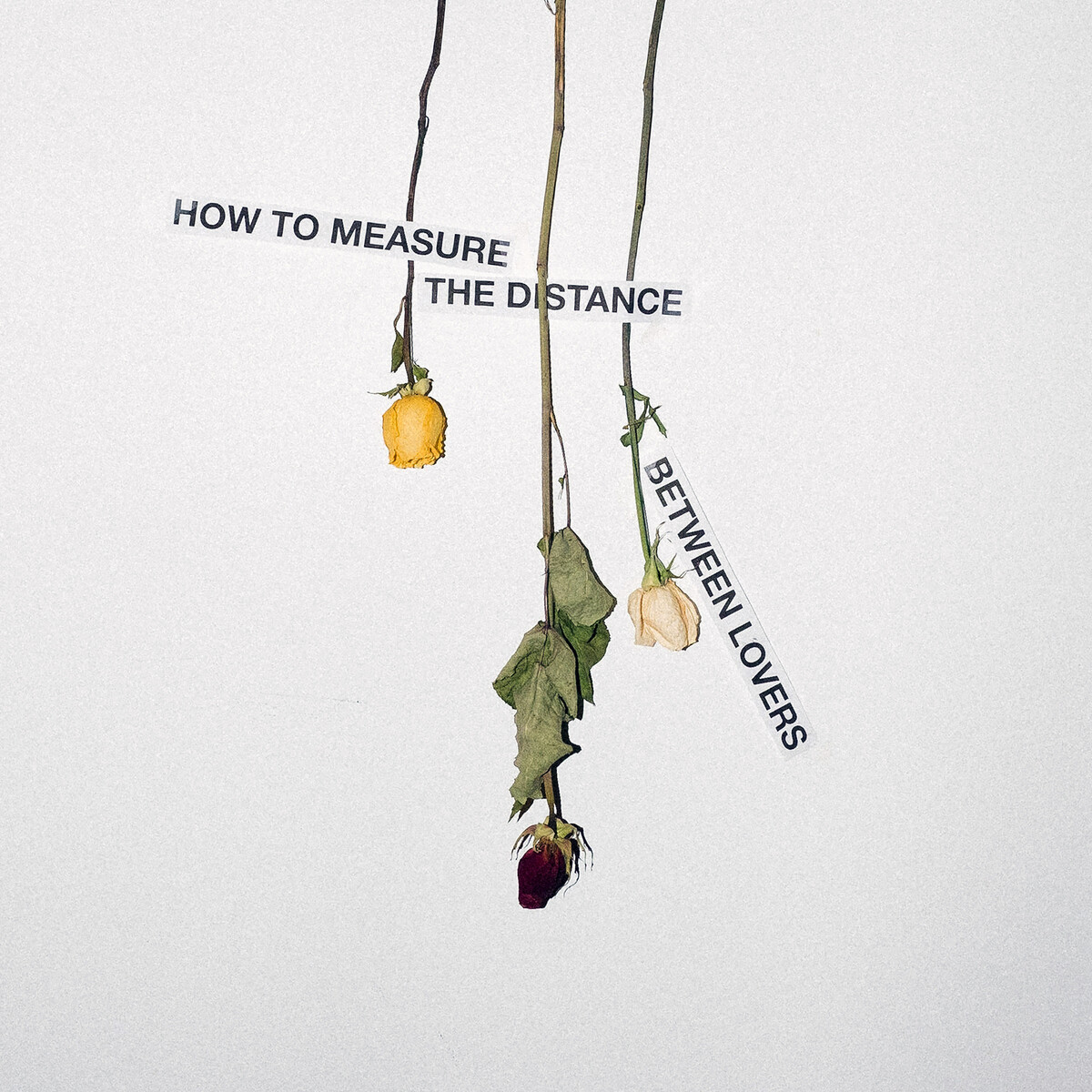 Mija Albums: songs, discography, biography, and listening guide - Rate ...