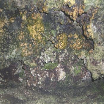 Hive Mind Albums: songs, discography, biography, and listening guide ...