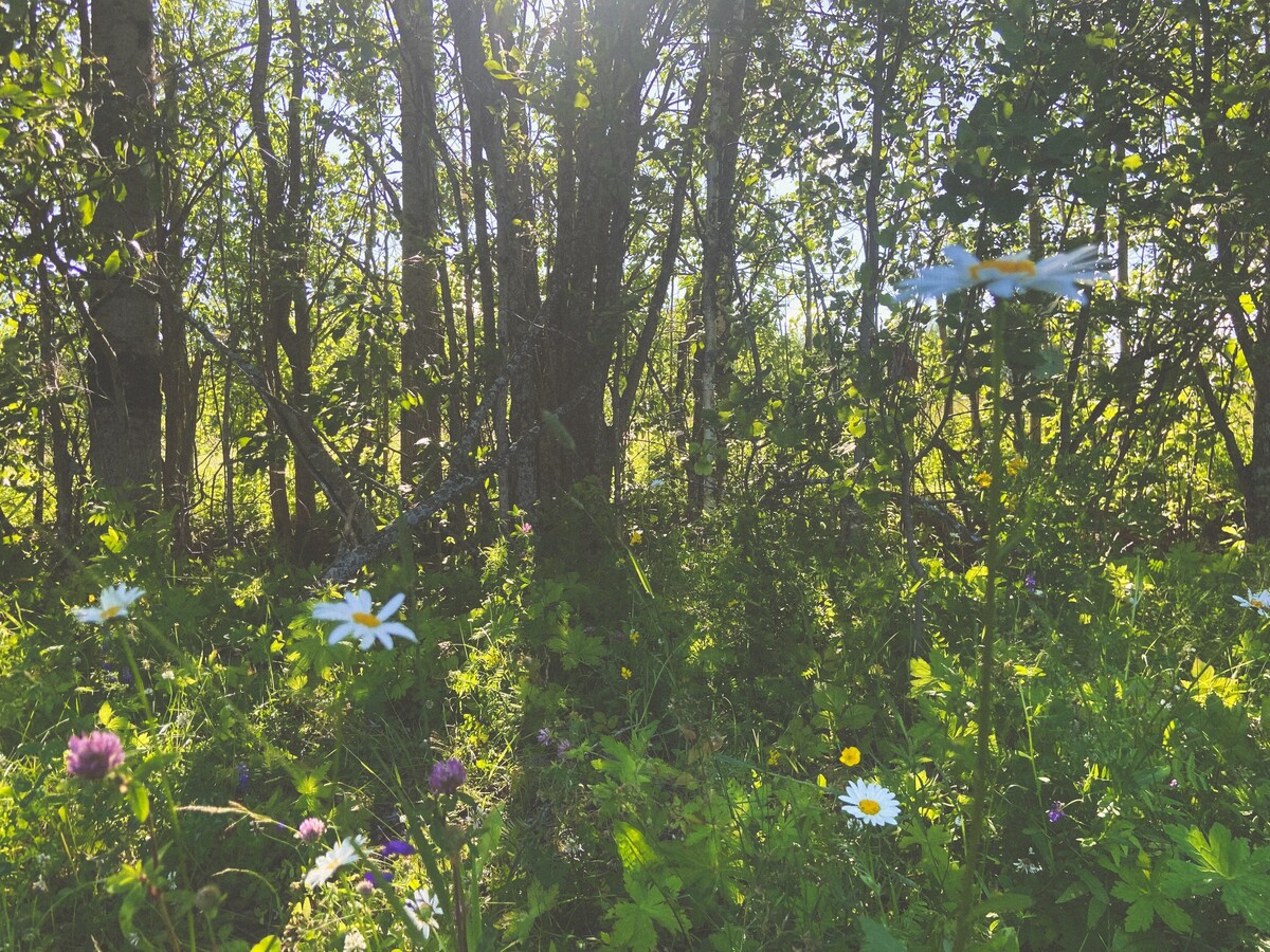 Because She's There, and She Loves Me by Lurp Sheets (Album): Reviews ...