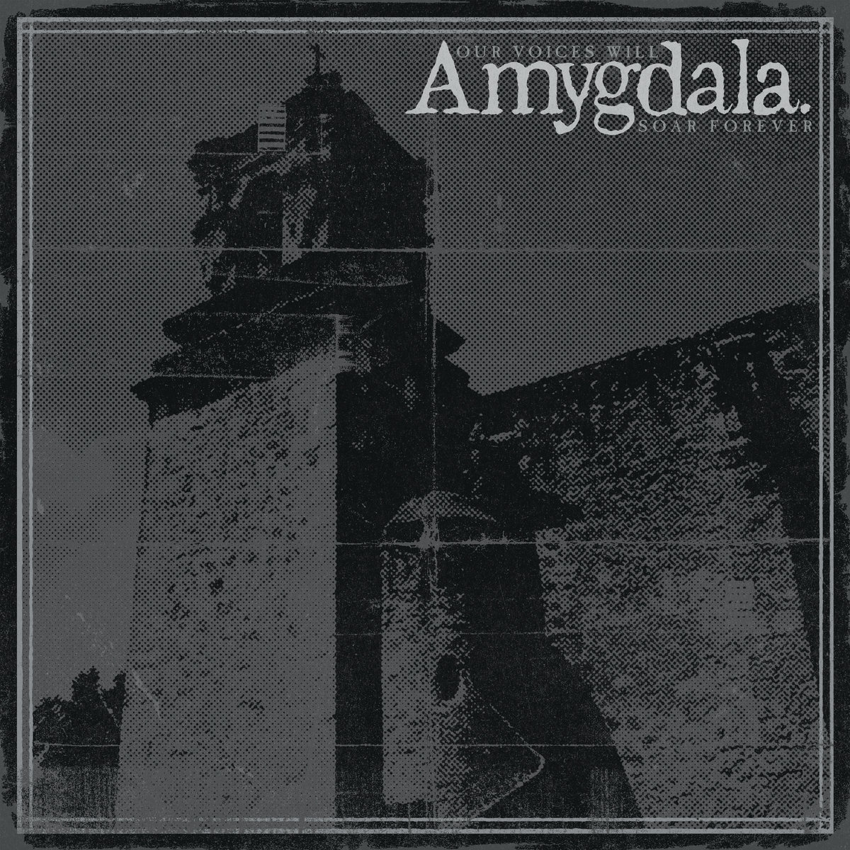 Amygdala Albums: songs, discography, biography, and listening guide ...
