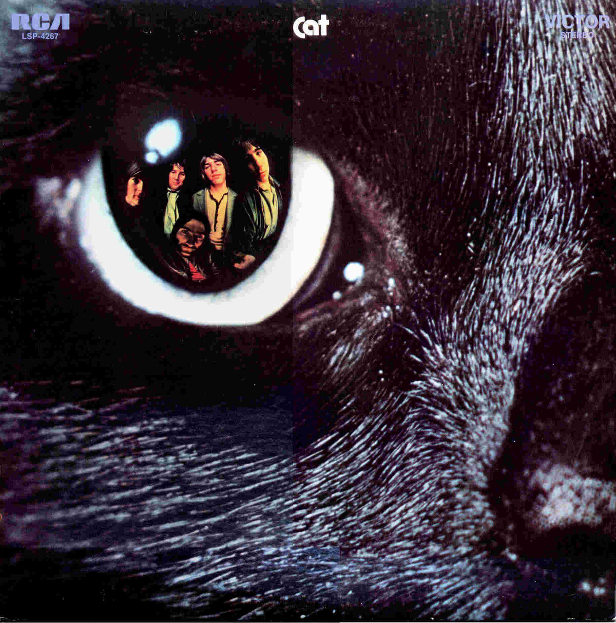 Cat Albums: songs, discography, biography, and listening guide - Rate ...