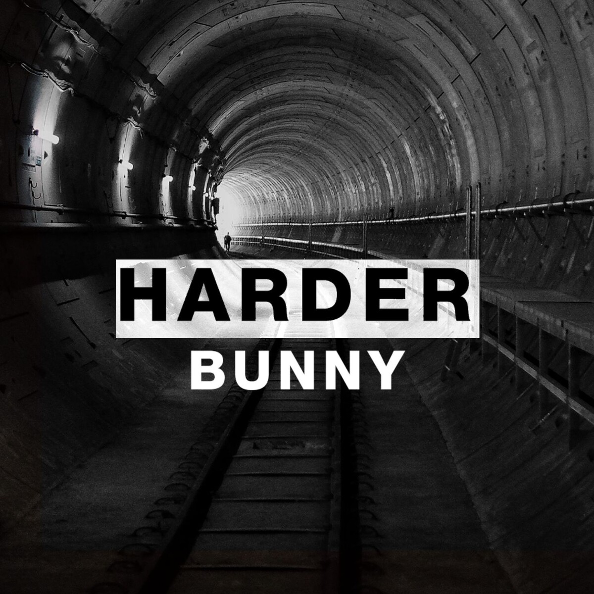 Bunny Albums: songs, discography, biography, and listening guide - Rate ...