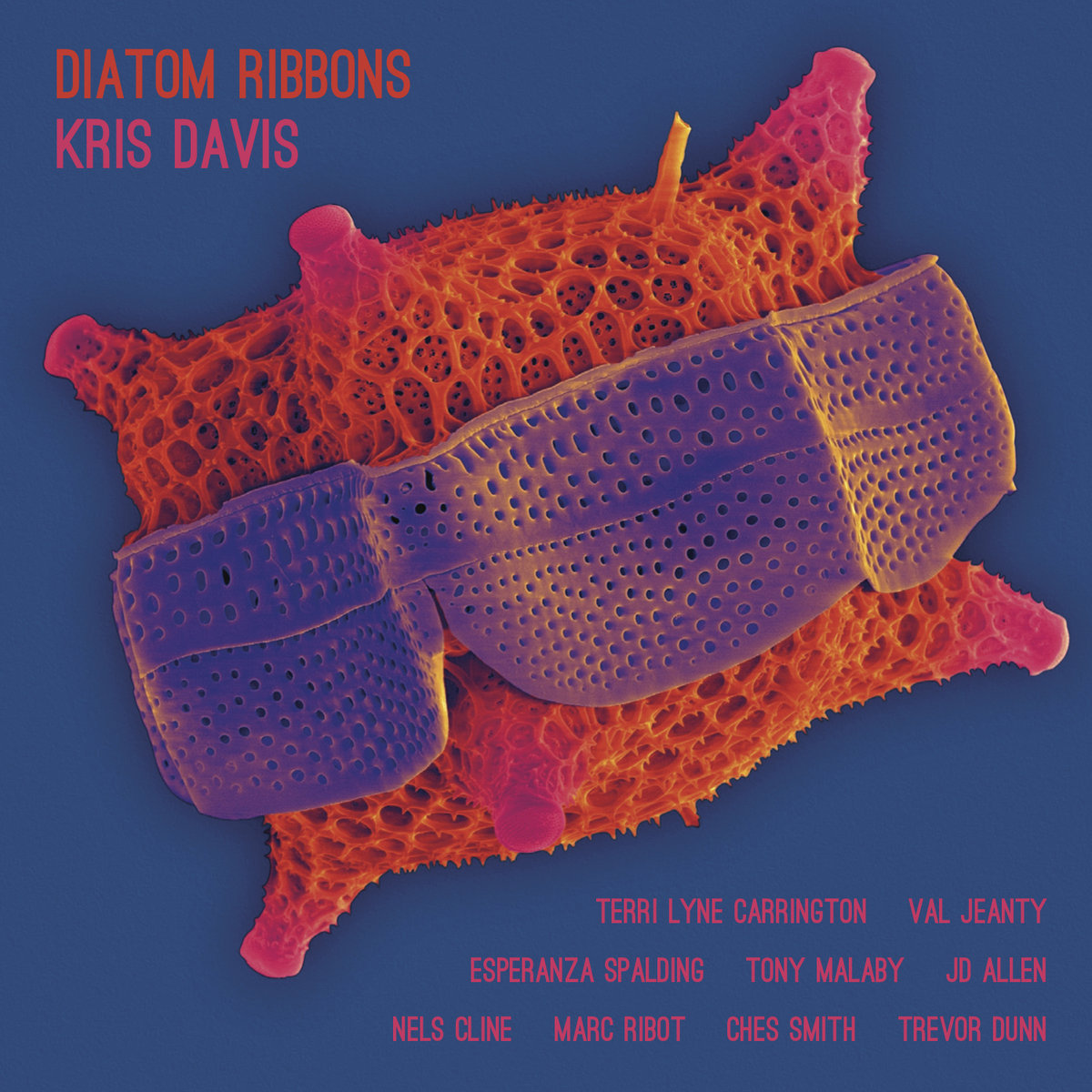 Kris Davis Albums: songs, discography, biography, and listening guide ...
