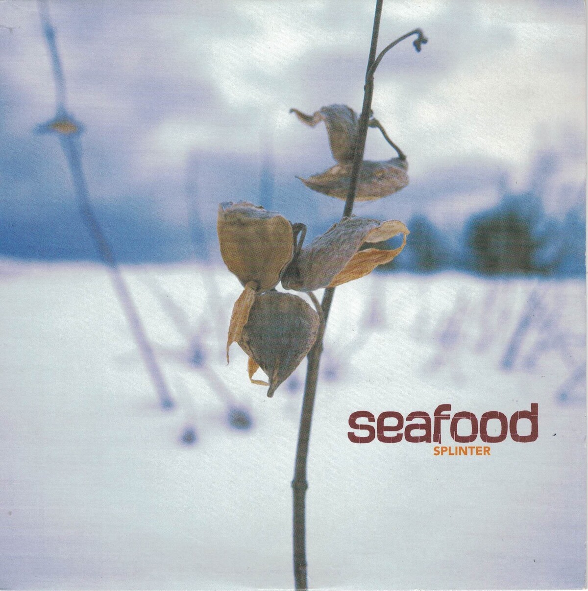 Splinter by Seafood (Single): Reviews, Ratings, Credits, Song list ...