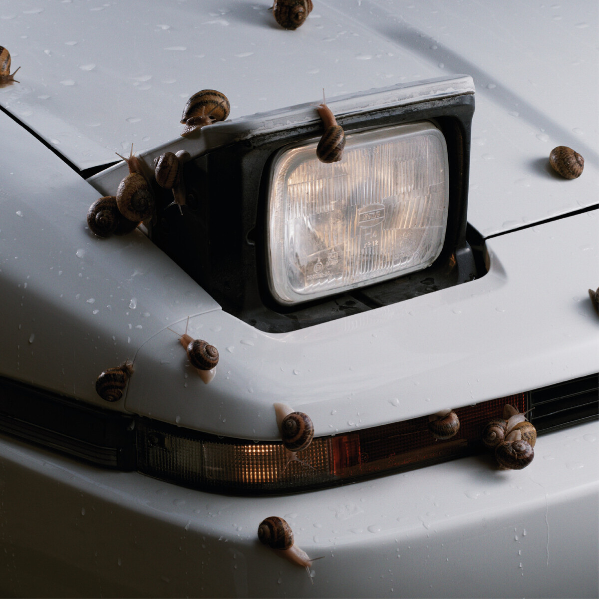 No tengo prisa by Marc Seguí (Album): Reviews, Ratings, Credits, Song ...