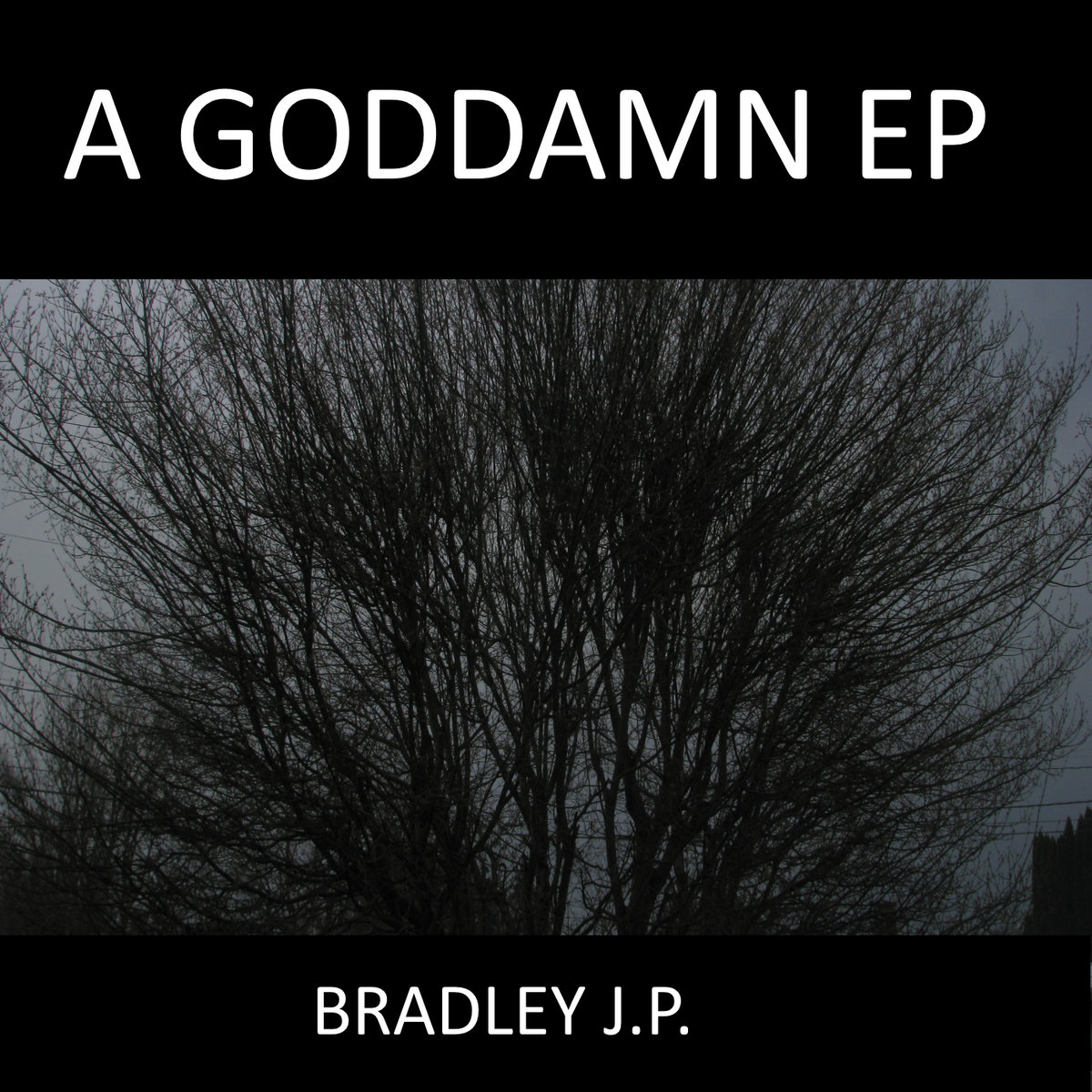 A Goddamn EP by Bradley J.P. (EP): Reviews, Ratings, Credits, Song list ...