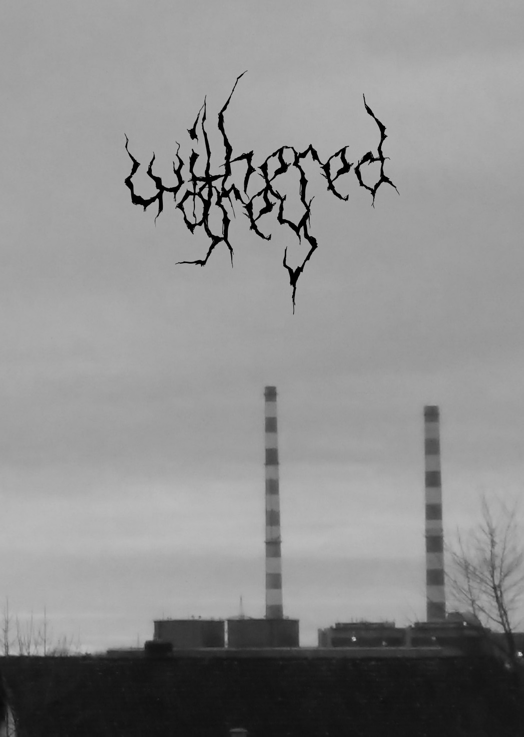 Withered Grey by Withered Grey (EP, DSBM): Reviews, Ratings, Credits ...