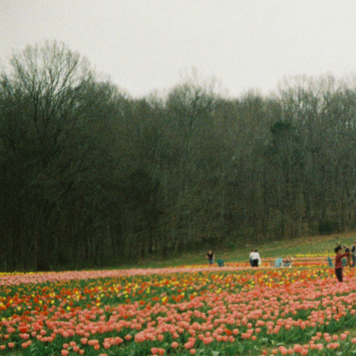 Lr by Other Nothing (Album): Reviews, Ratings, Credits, Song list ...