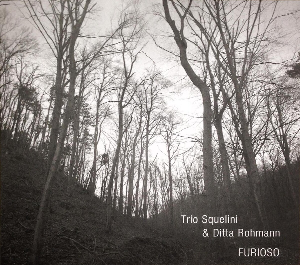 Furioso by Trio Squelini & Ditta Rohmann (Album): Reviews, Ratings ...