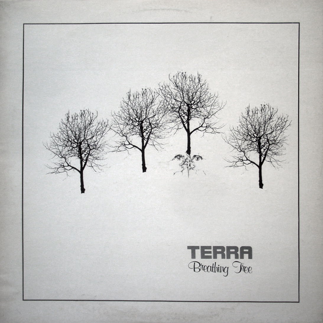 Terra Albums: songs, discography, biography, and listening guide - Rate ...