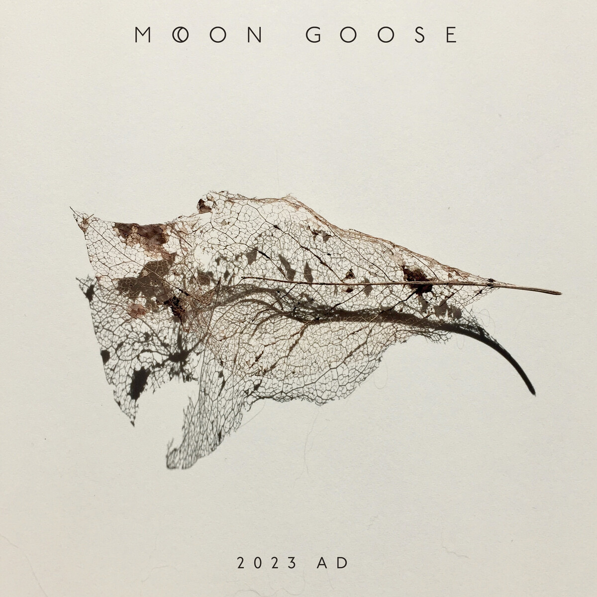 2023 AD by Moon Goose (Single): Reviews, Ratings, Credits, Song list ...