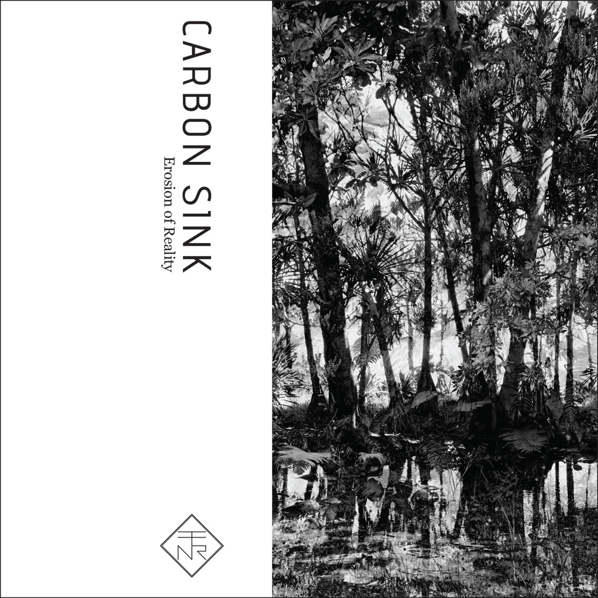 Erosion of Reality by Carbon Sink (Album): Reviews, Ratings, Credits ...