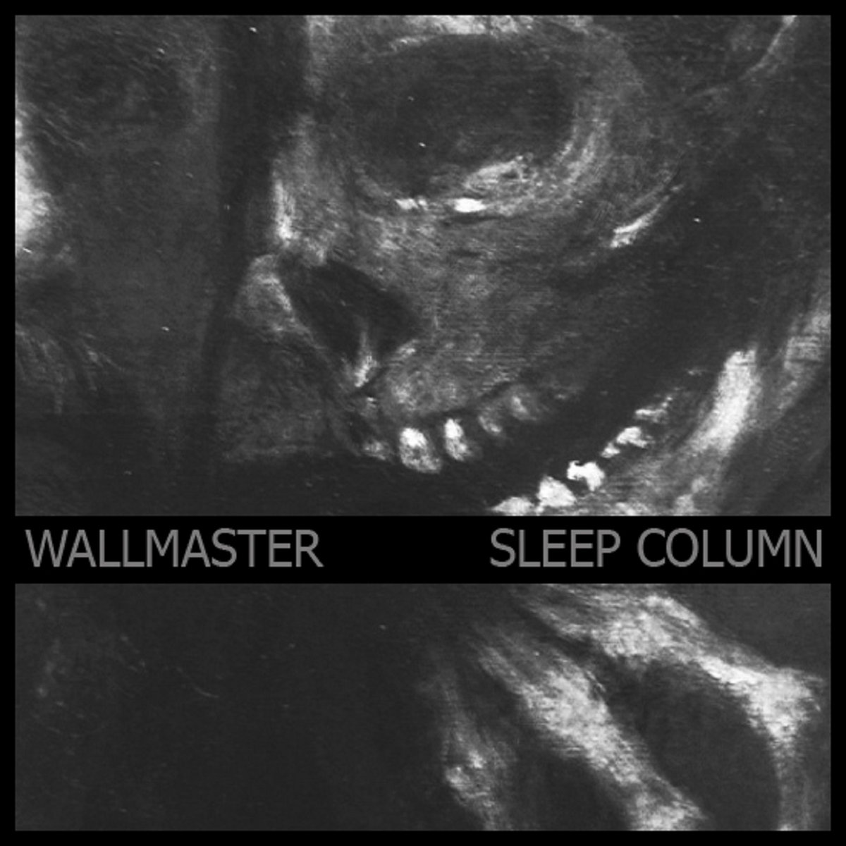 Wallmaster Albums: songs, discography, biography, and listening guide ...