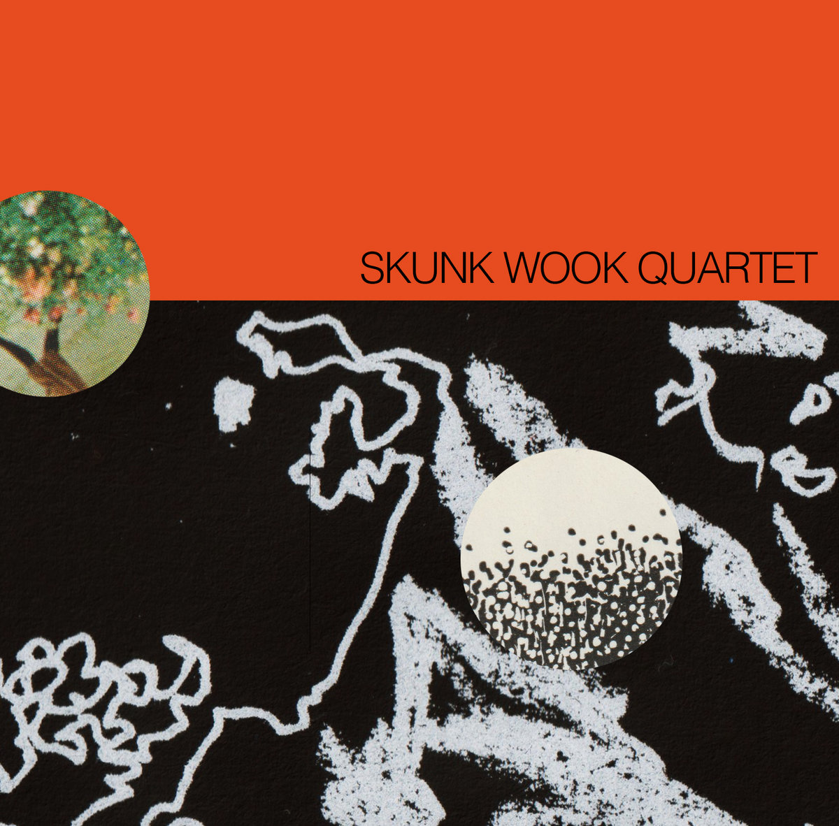 Skunk Wook Quartet by Skunk Wook Quartet (Album): Reviews, Ratings ...