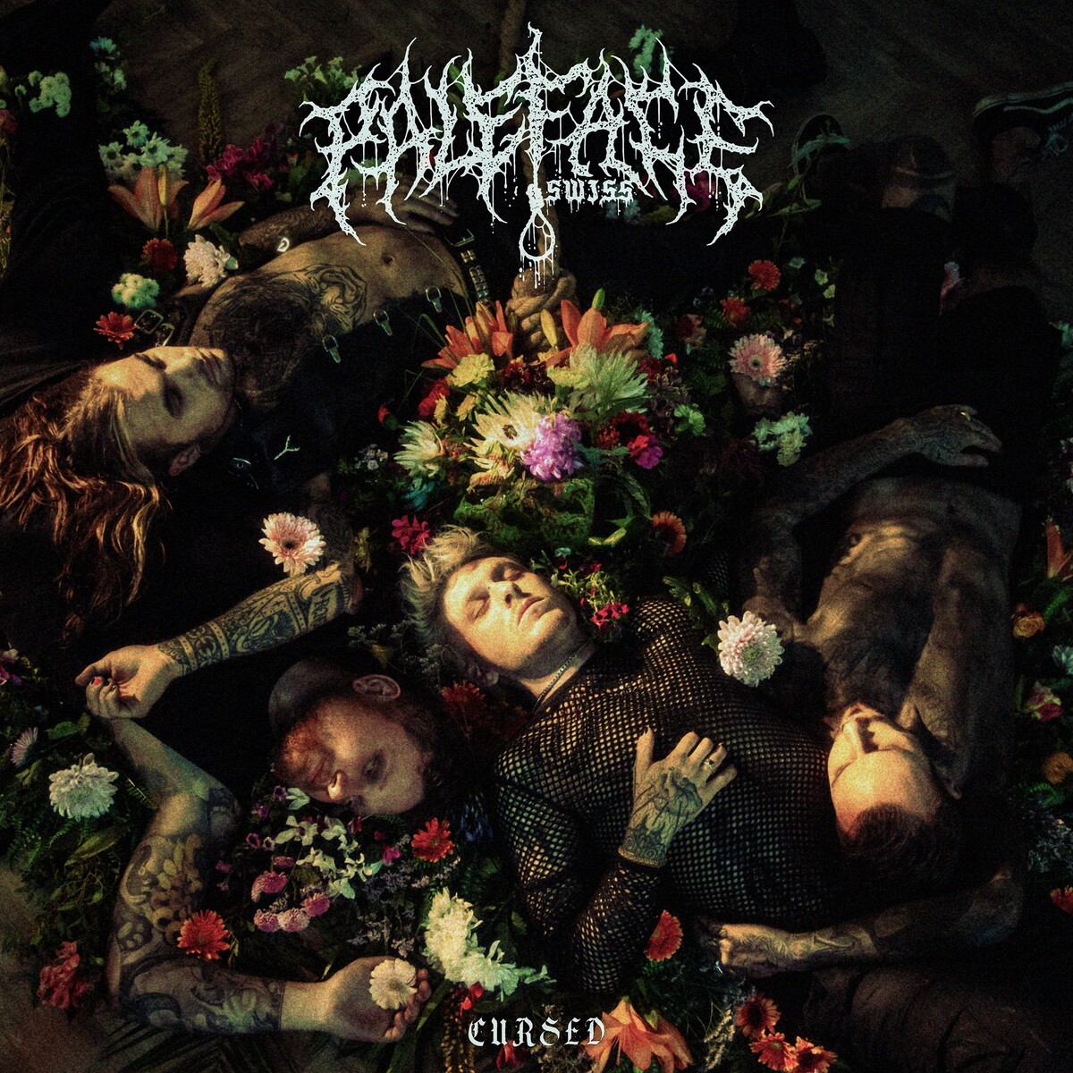 Cursed by Paleface Swiss (Album, Nu Metal): Reviews, Ratings, Credits ...