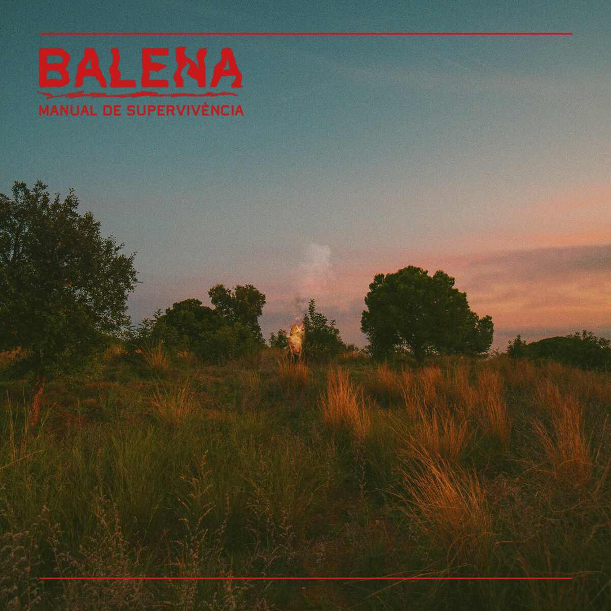 Manual de supervivència by Balena (Album): Reviews, Ratings, Credits, Song list - Rate Your Music