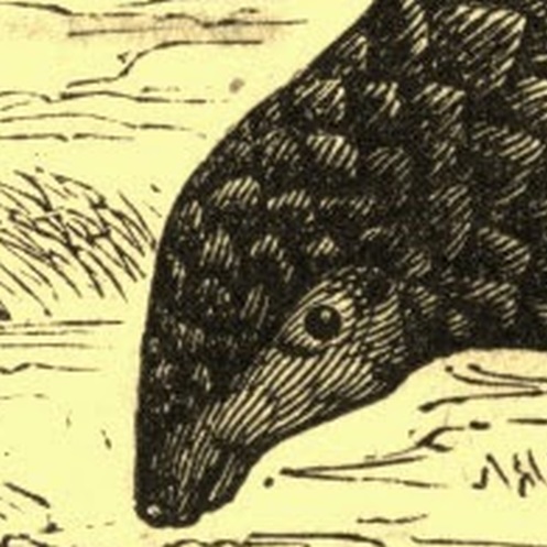 Blarp by Tsubaki Yeah! (Album): Reviews, Ratings, Credits, Song list ...