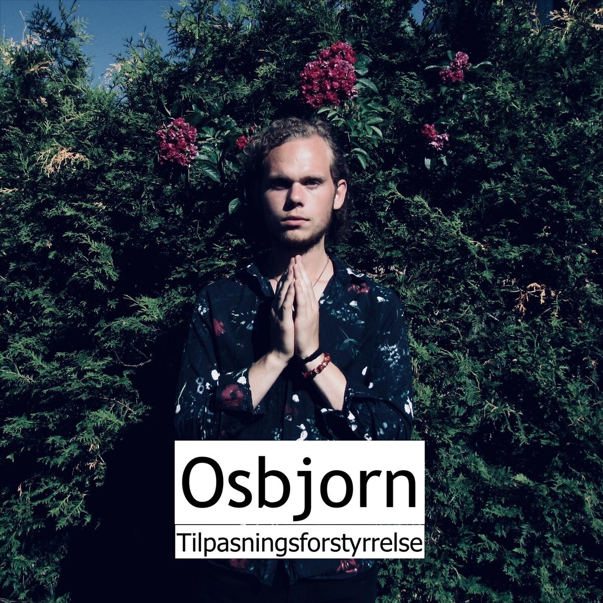 Tilpasningsforstyrrelse by Osbjorn (Album): Reviews, Ratings, Credits ...