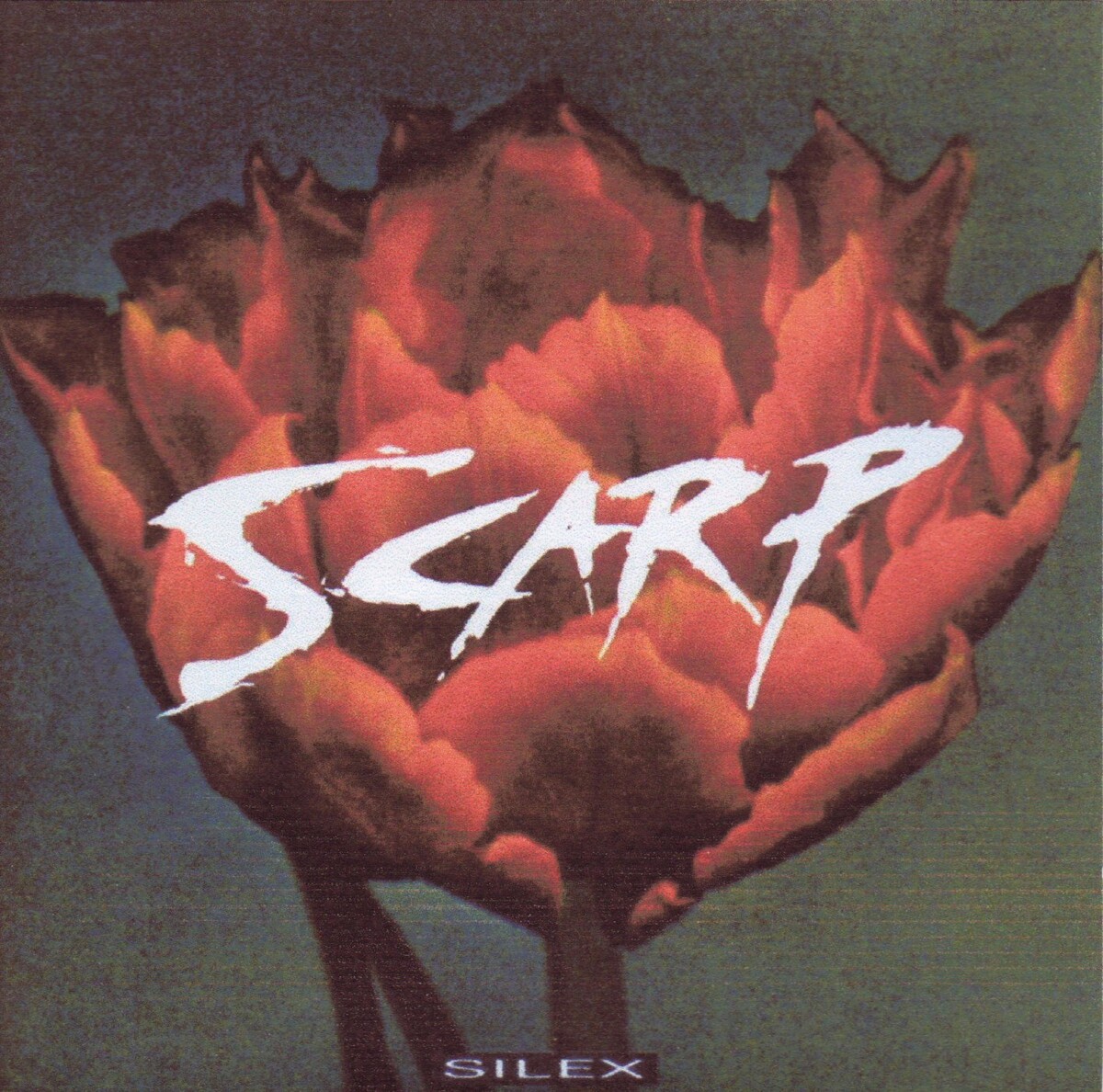 Scarp Albums: songs, discography, biography, and listening guide - Rate ...