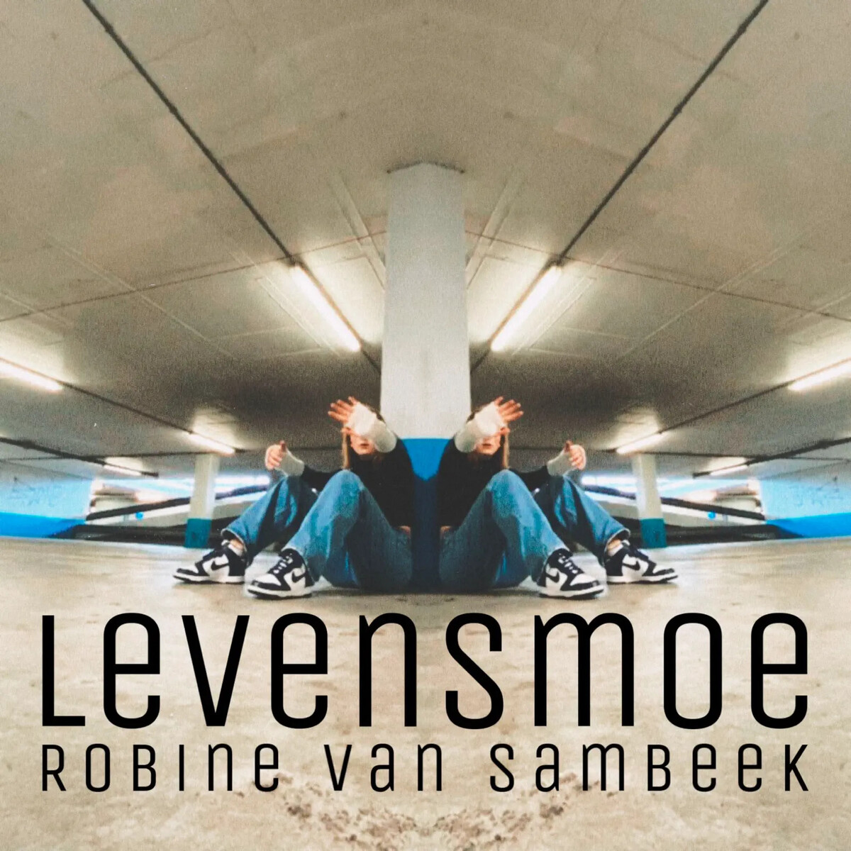 Robine van Sambeek Albums: songs, discography, biography, and listening guide - Rate Your Music