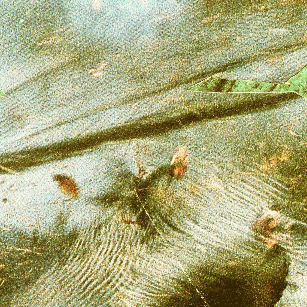 Cécile Albums: songs, discography, biography, and listening guide ...