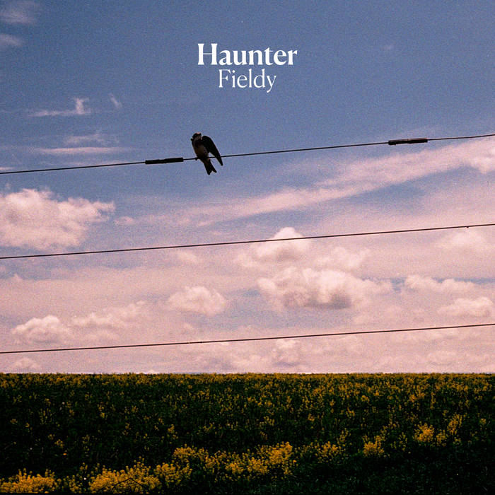 Fieldy by Haunter (Album, Indie Rock): Reviews, Ratings, Credits, Song ...