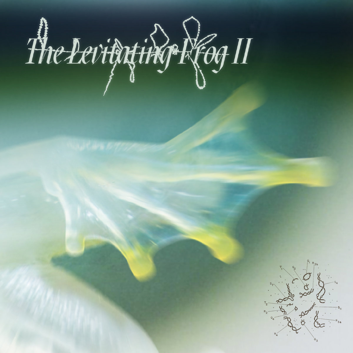 The Levitating Frog II by Repulsive Force (Album): Reviews, Ratings ...