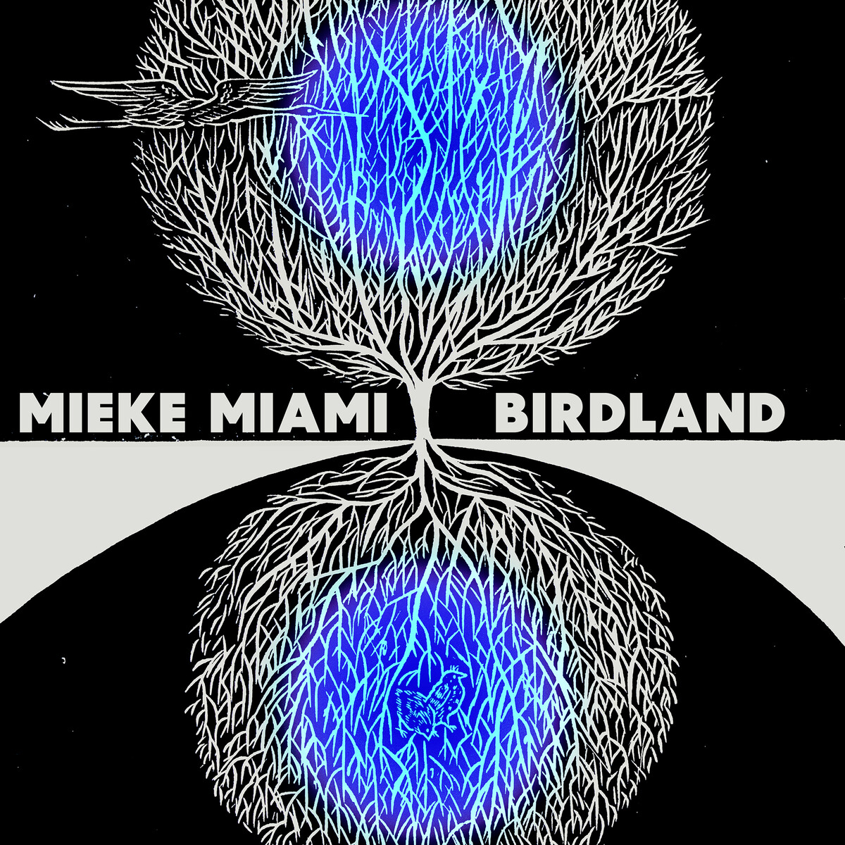 Birdland by Mieke Miami (Album): Reviews, Ratings, Credits, Song list ...