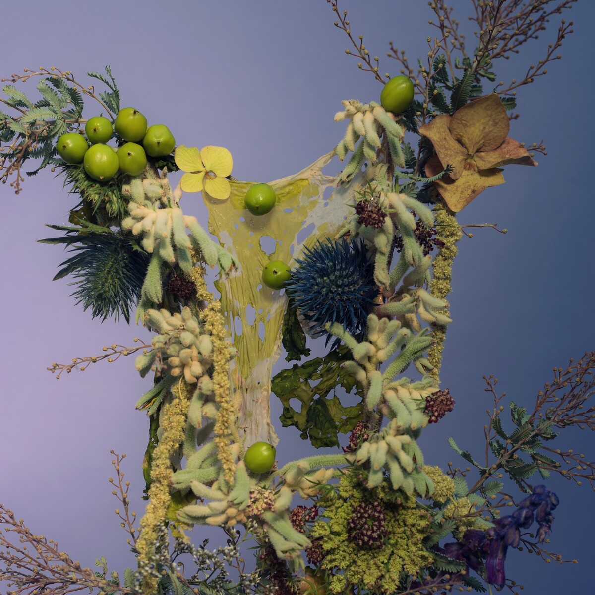 Sentimental Still by Huntly (Album, Electropop): Reviews, Ratings ...