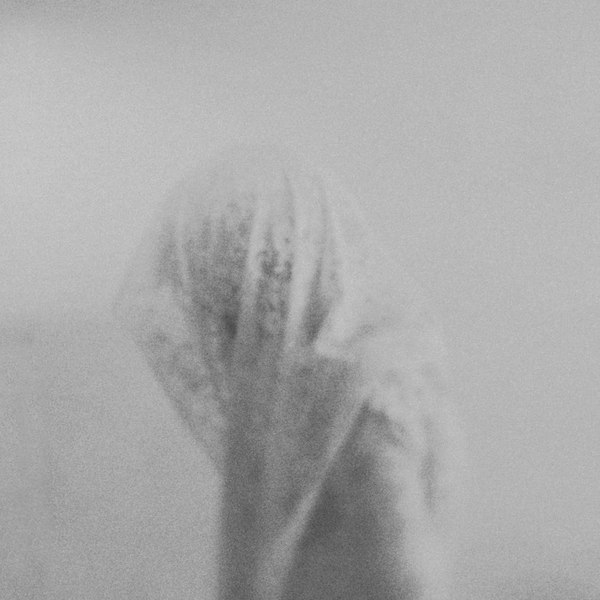 Rorcal Albums: songs, discography, biography, and listening guide ...